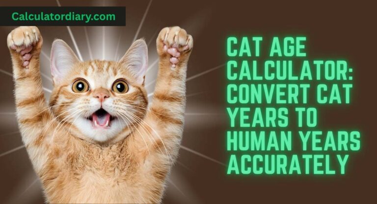 Cat Age Calculator | Free Cat Age Calculator